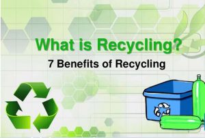 Recycling – Pro Recycling Ltd.